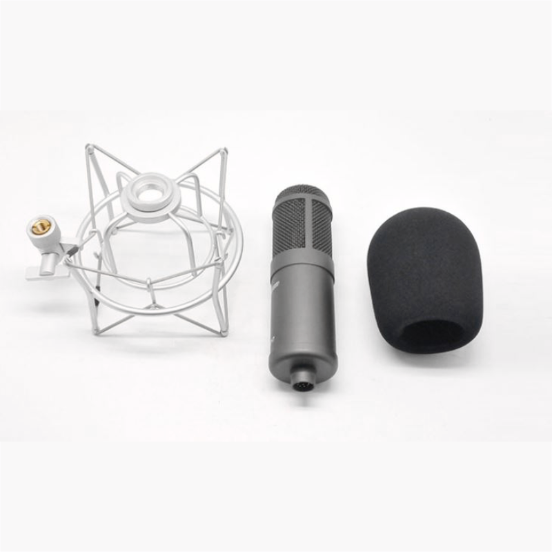 Mic Beijing 797 Audio CR717 | MicPedia.com