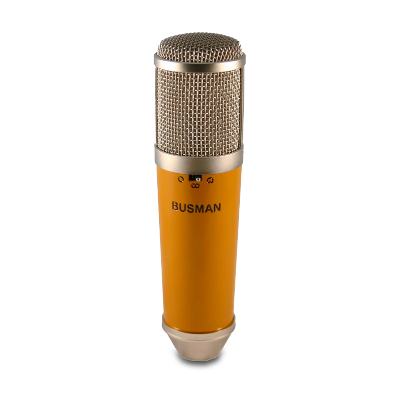 Mic Busman Audio BA-L2 | MicPedia.com