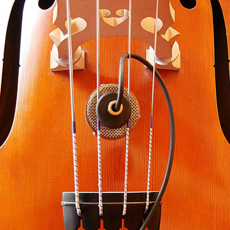 Mic Ear Trumpet Labs Nadine | MicPedia.com