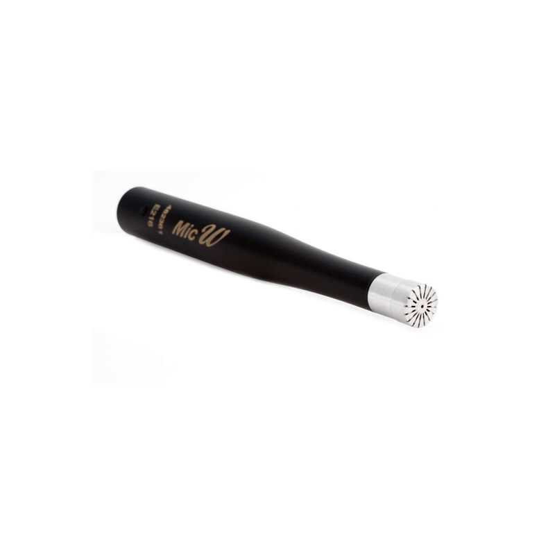 Mic MicW E216 | MicPedia.com
