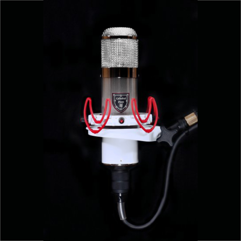 Mic Cathedral Pipes Notre Dame | MicPedia.com