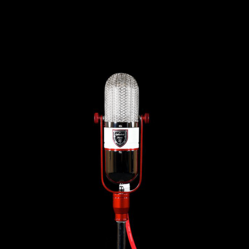 Mic Cathedral Pipes Seville | MicPedia.com