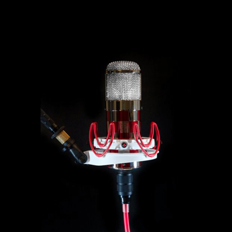 Mic Cathedral Pipes Saint Jean Baptiste | MicPedia.com