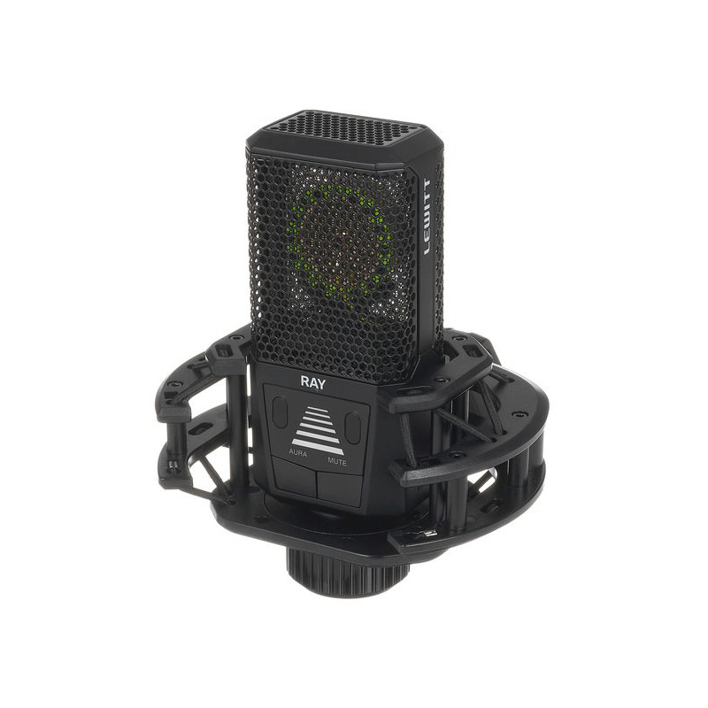 Mic Lewitt Ray | MicPedia.com